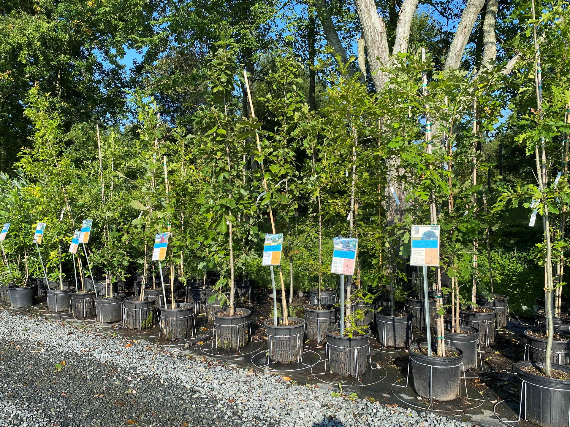 Unity Church Hill Nursery – Unity Church Hill Nursery, LLC