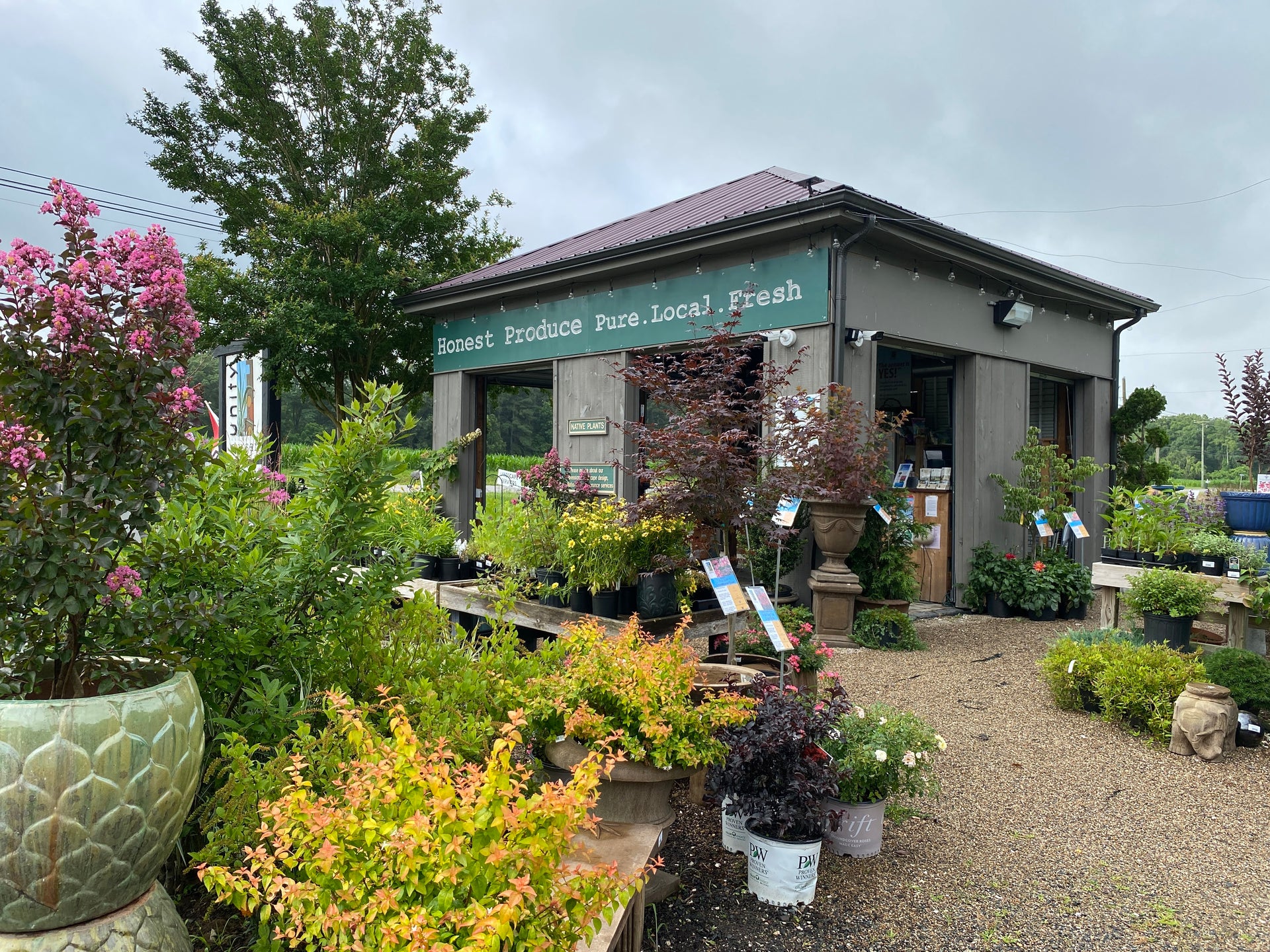 About – Unity Church Hill Nursery, LLC